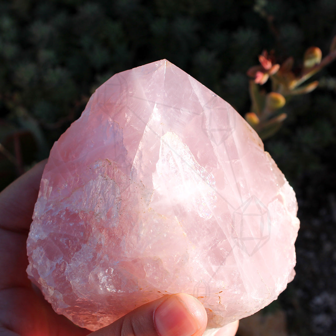 Punta Semipulida de Cuarzo Rosa – Constelaciones de Cuarzos